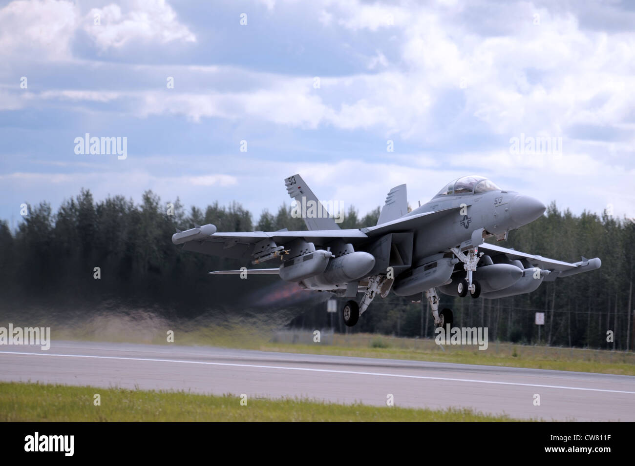 A U.S. Navy EA-18 Growler assigned to the Electronic Attack Squadron ...