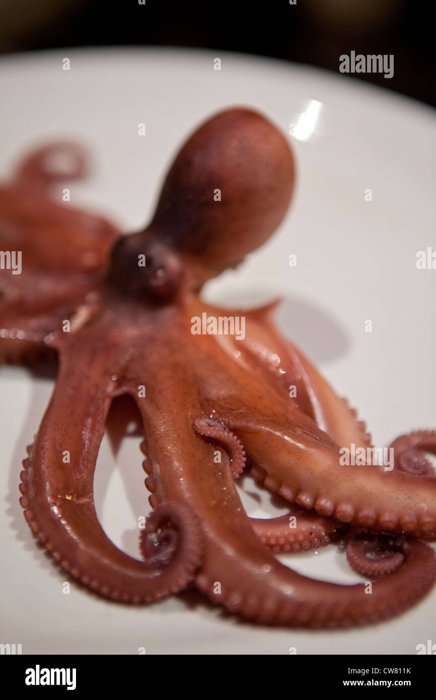 Octopus palermo sicily hi-res stock photography and images - Alamy