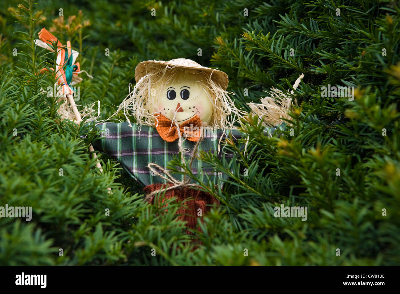 Minature Scarecrow in Yew hedge at village fete on Scarecrow Day in ...