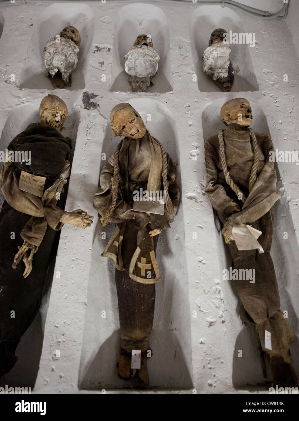 embalmed mummies, Catacombe dei Cappuccini, Palermo, Italy Stock Photo ...