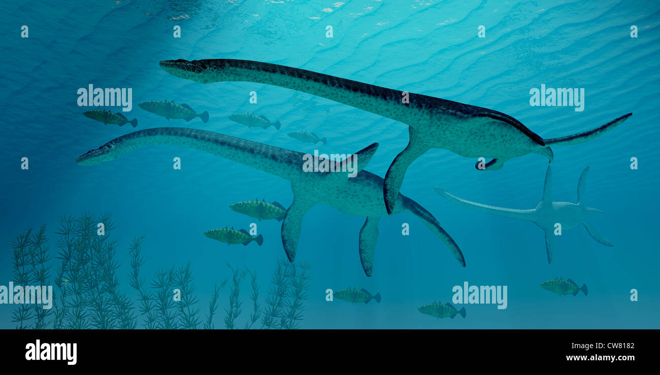 Plesiosaurus hi-res stock photography and images - Alamy