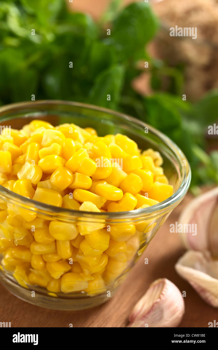 Sweetcorn grains in glass bowl with garlic cloves and watercress ...