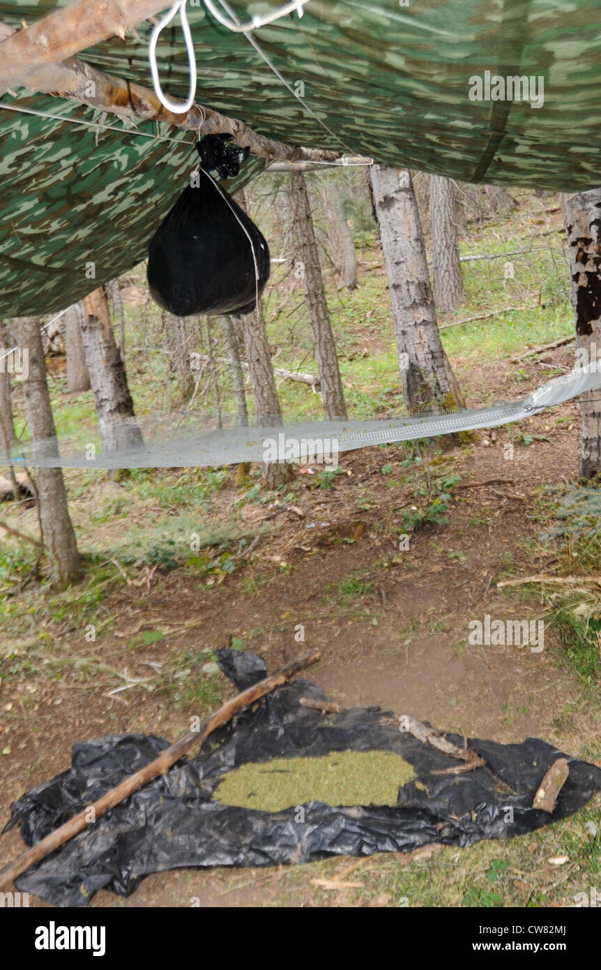 Colo using uh 60 helicopter equipped with hoist nets hi-res stock ...