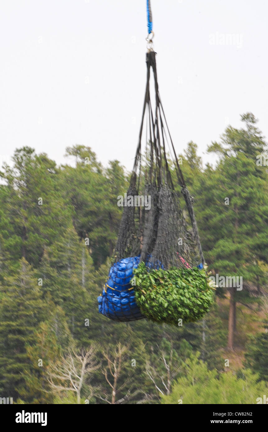 Colo using uh 60 helicopter equipped with hoist nets hi-res stock ...