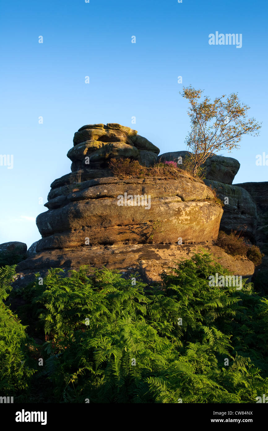 Brimham Rocks balancing natural rock formations in North Yorkshire ...