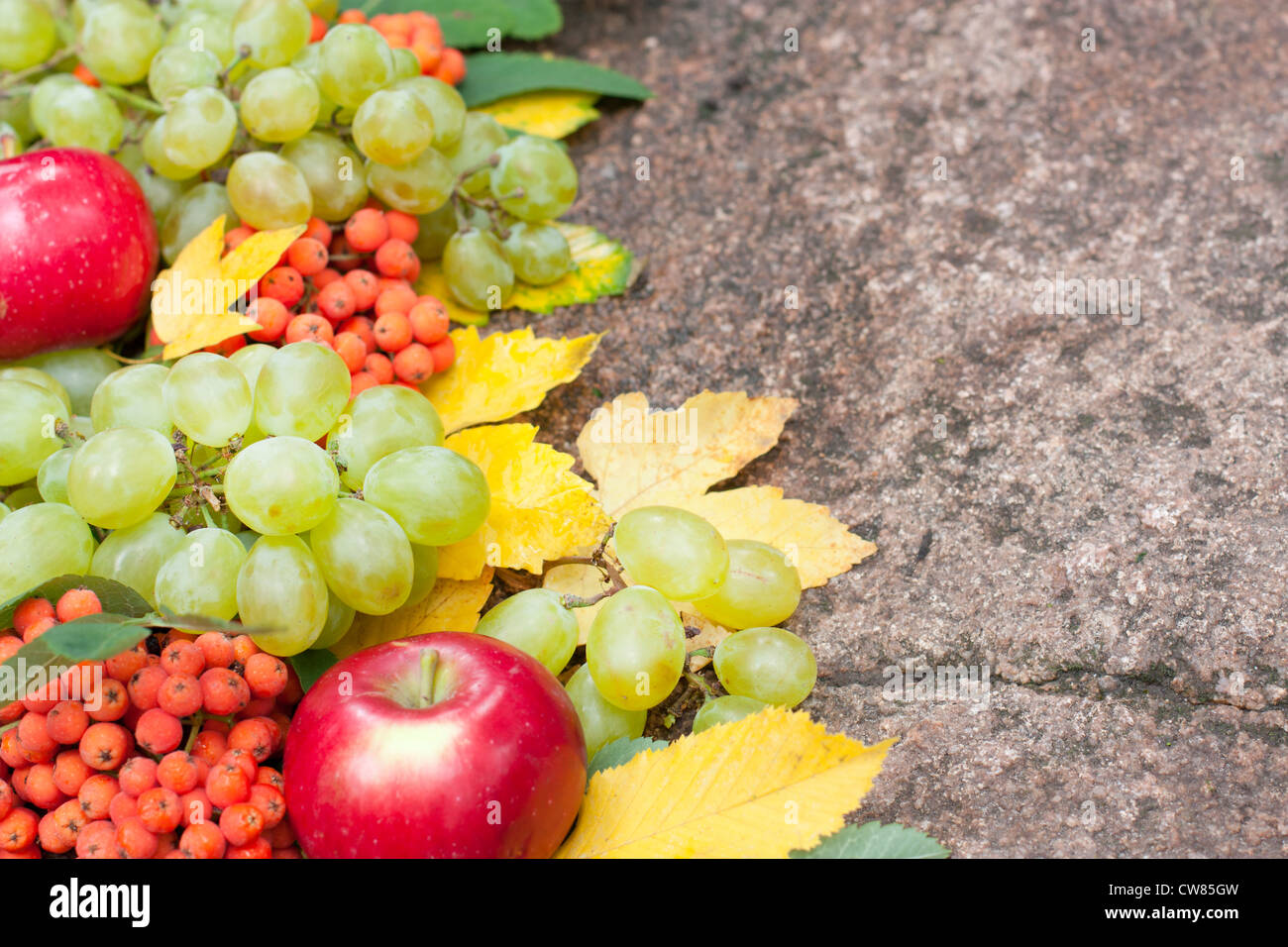 Autumn border from grapes and apples Stock Photo - Alamy