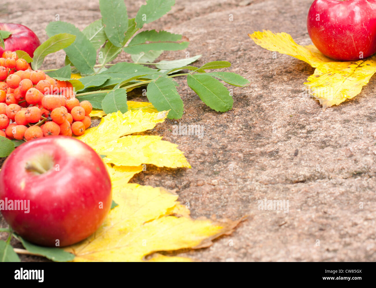 Rowan apple hi-res stock photography and images - Alamy