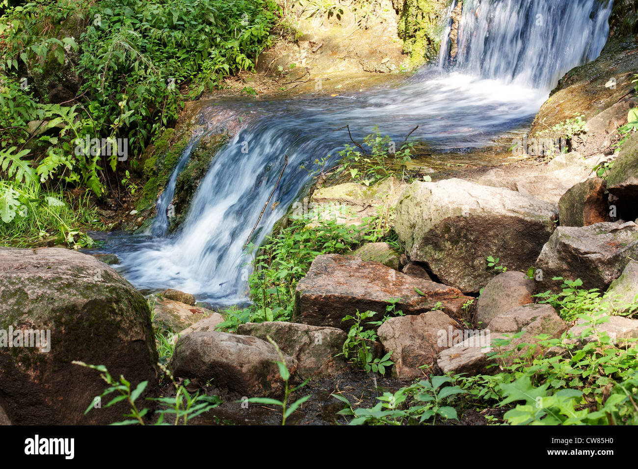Beautiful bright unusual nature hi-res stock photography and images - Alamy