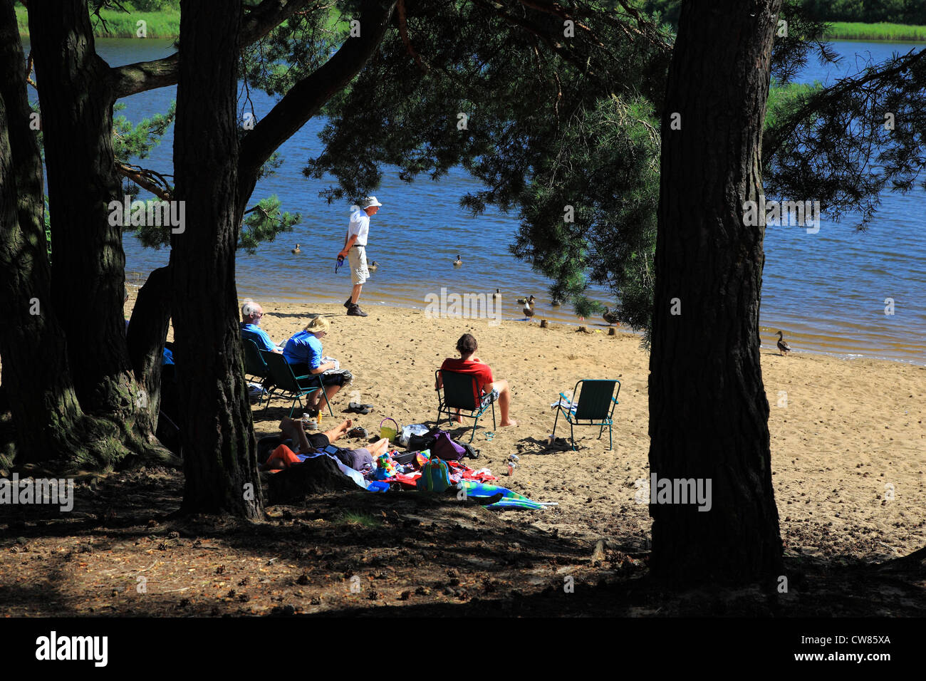 Little Pond, Frensham Common, Surrey Hills, England Stock Photo - Alamy