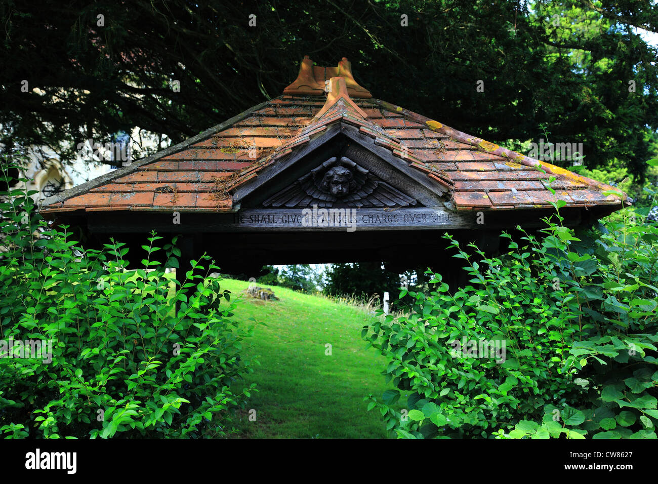 Coldharbour surrey hills hi-res stock photography and images - Alamy