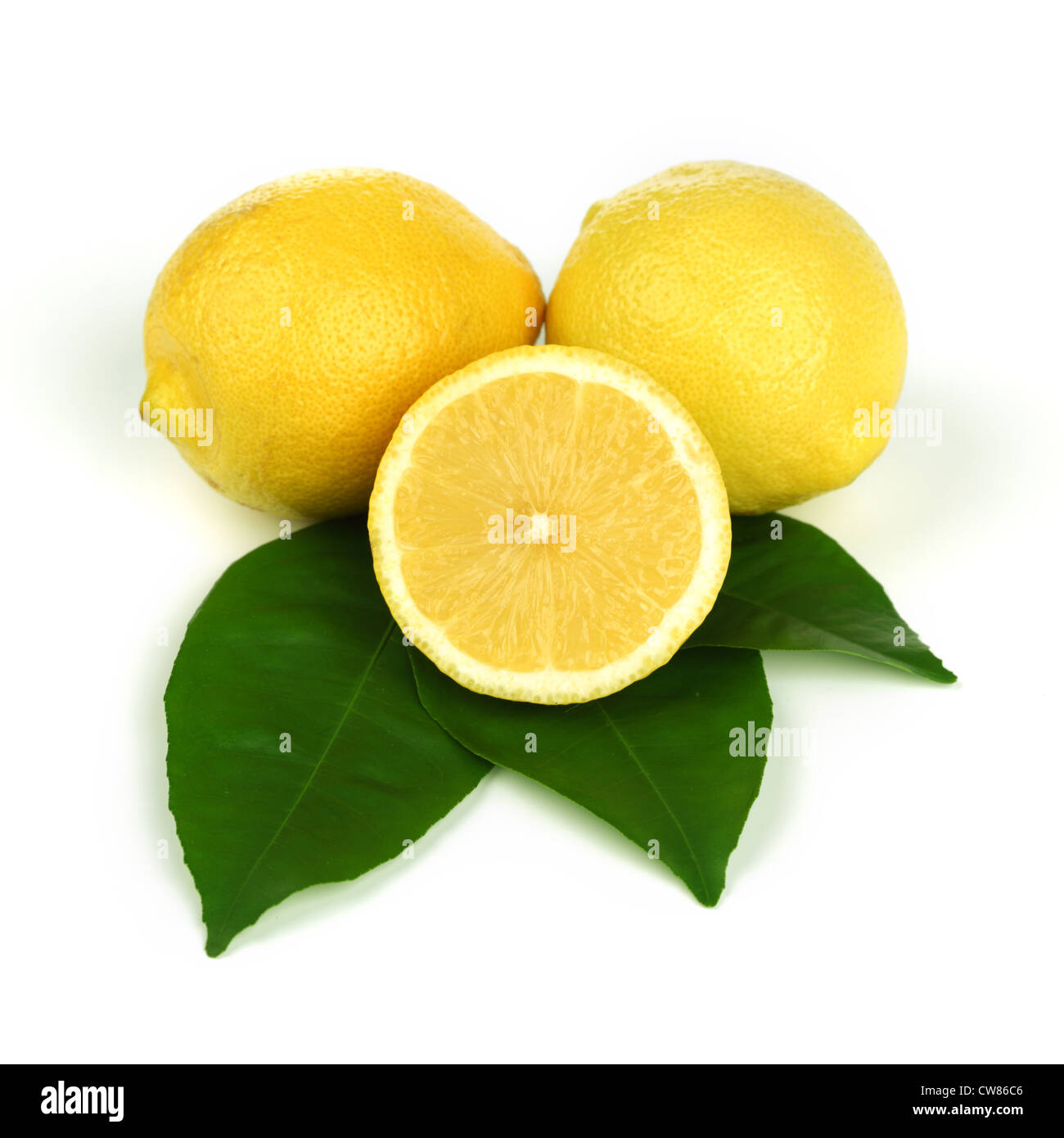 Three fresh lemons leaves hi-res stock photography and images - Alamy