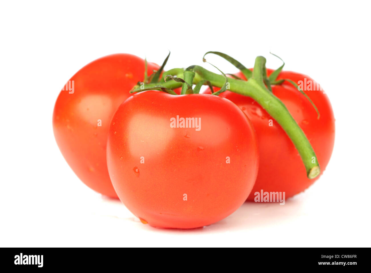tomatoes isolated on white Stock Photo - Alamy