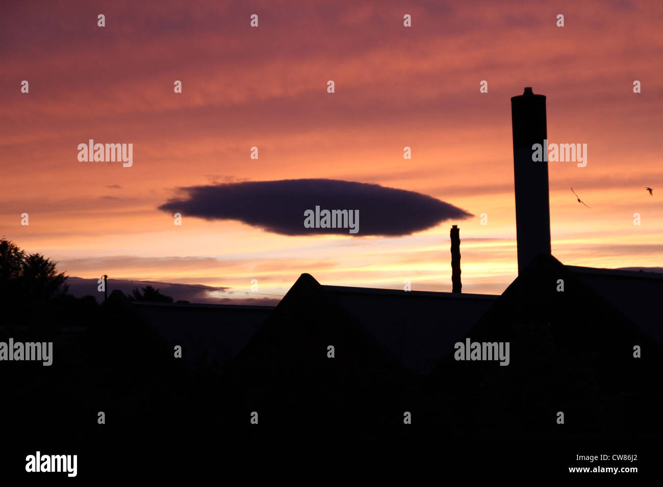 Ardmore distillery hi-res stock photography and images - Alamy