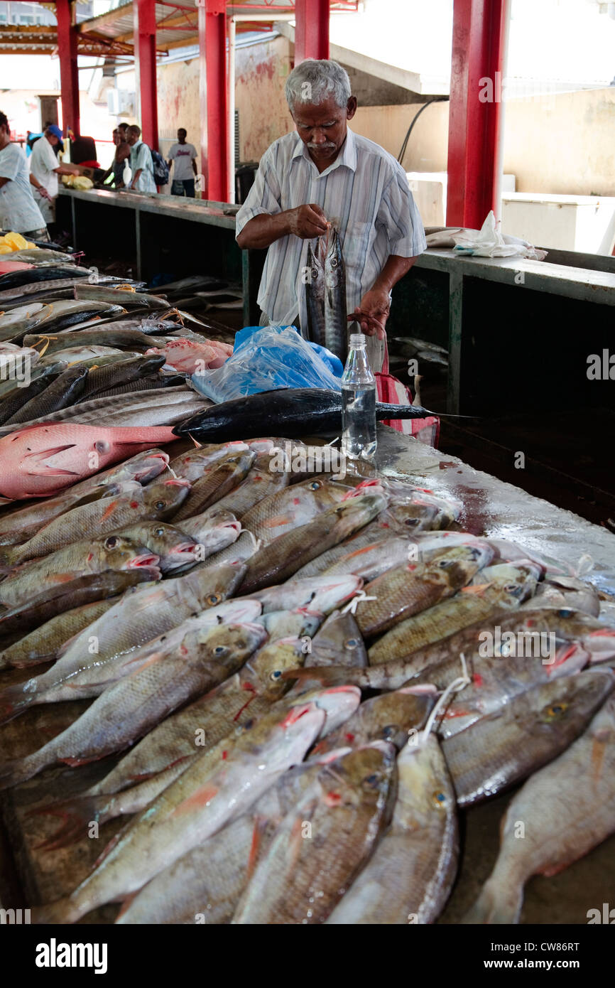 Man selling fish at Sir Selwyn Clark Fish Market, Mahe Island, Victoria ...