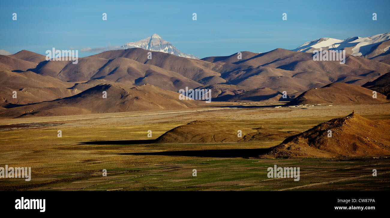 Grassland overseeing peak of mount everest Stock Photo - Alamy