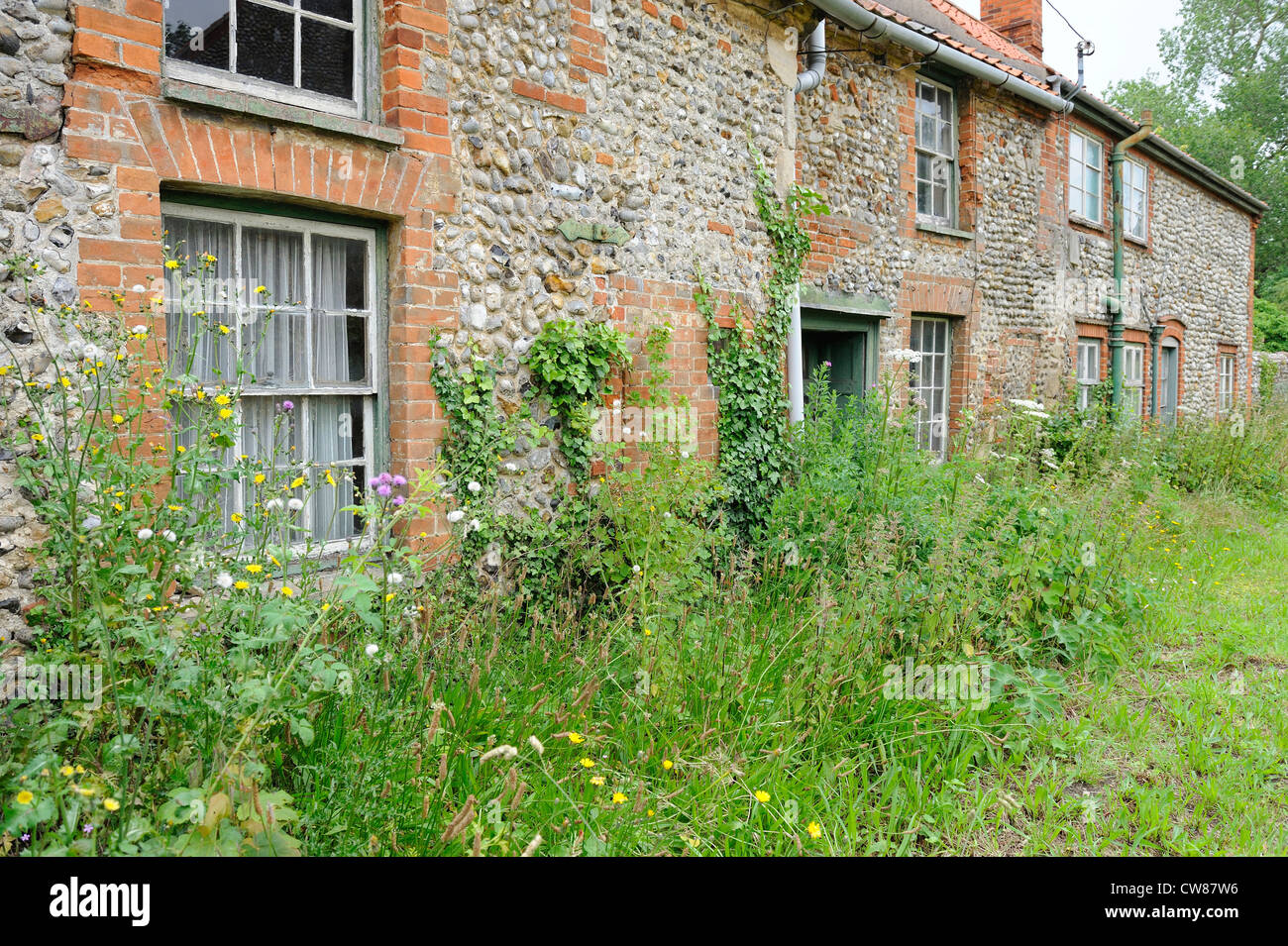 iubjnp9ij ouyh Stock Photo - Alamy