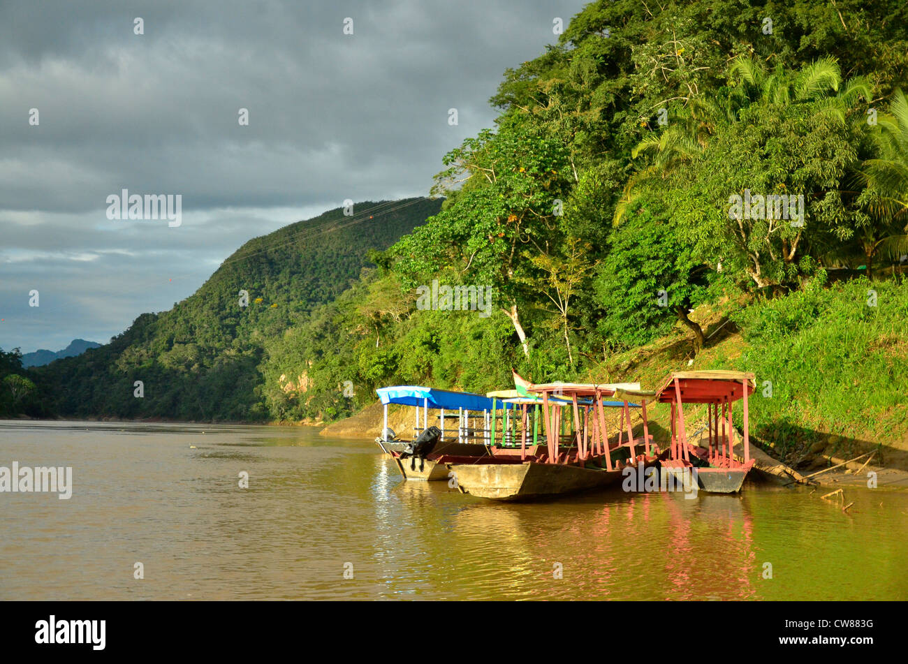 Madidi national park, Bolivia, South America Stock Photo - Alamy