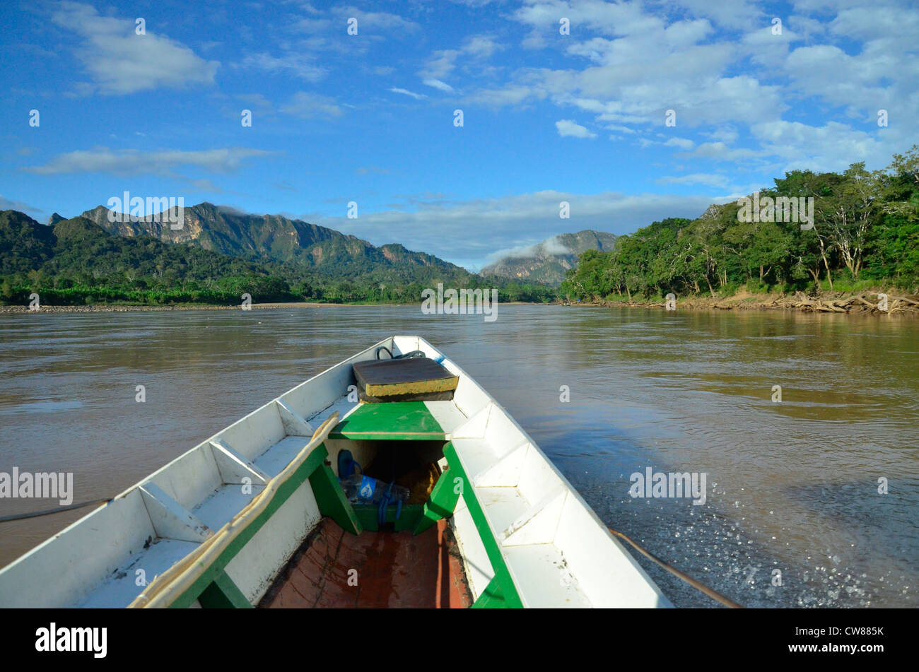 Madidi national park, Bolivia, South America Stock Photo - Alamy