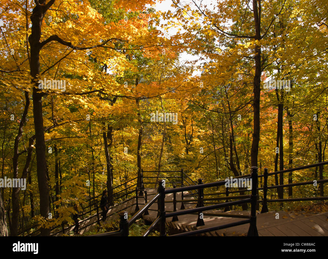 Montreal fall foliage hi-res stock photography and images - Alamy