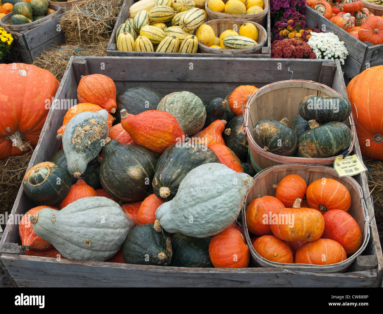 Varieties of squash hi-res stock photography and images - Alamy