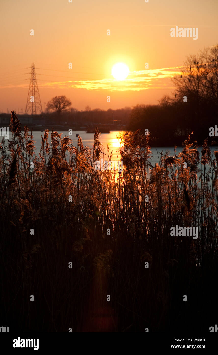 Frozen winter sunset at Attenborough Nature Reserve, Nottinghamshire ...