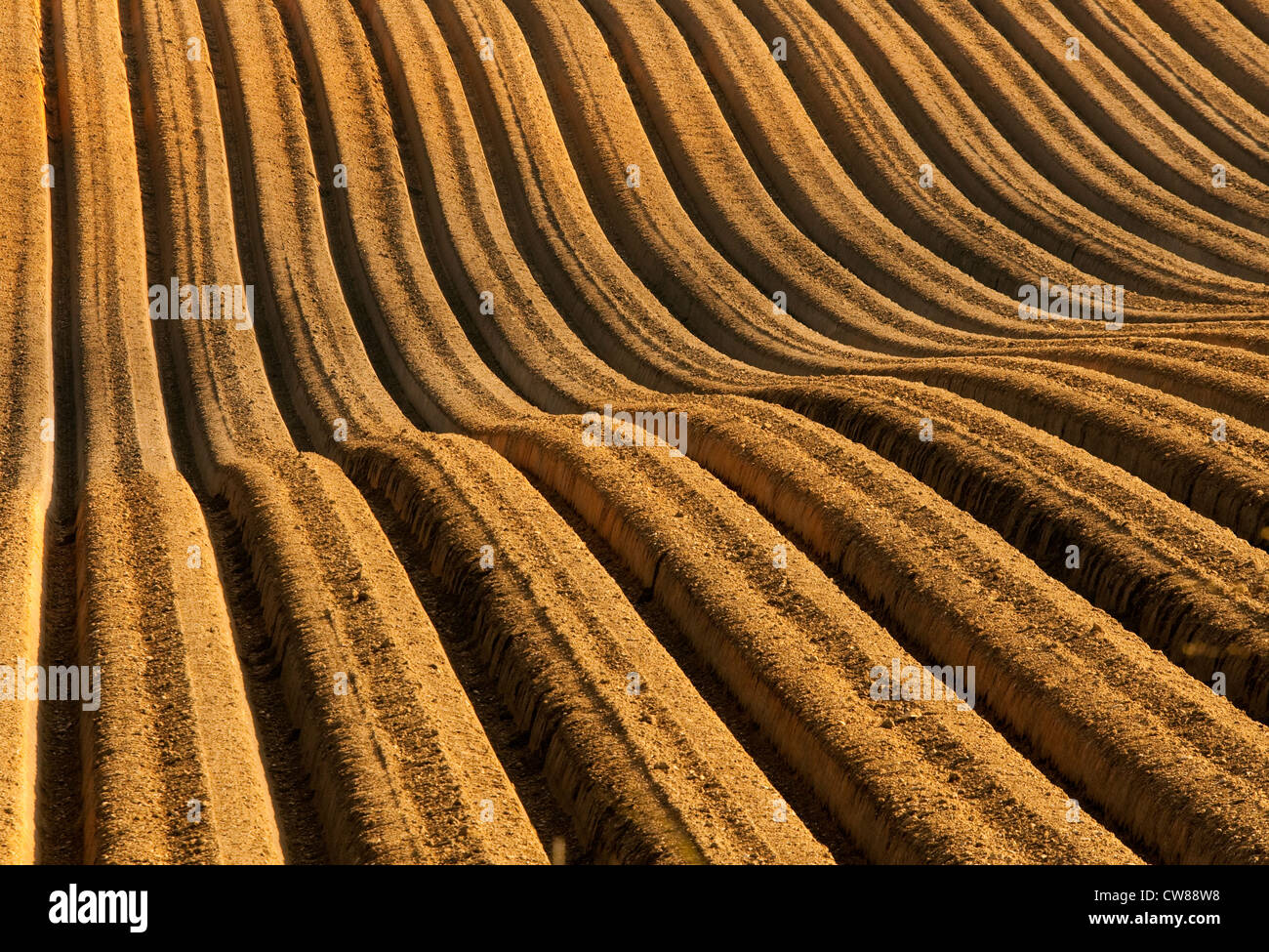 Furrowed field hi-res stock photography and images - Alamy