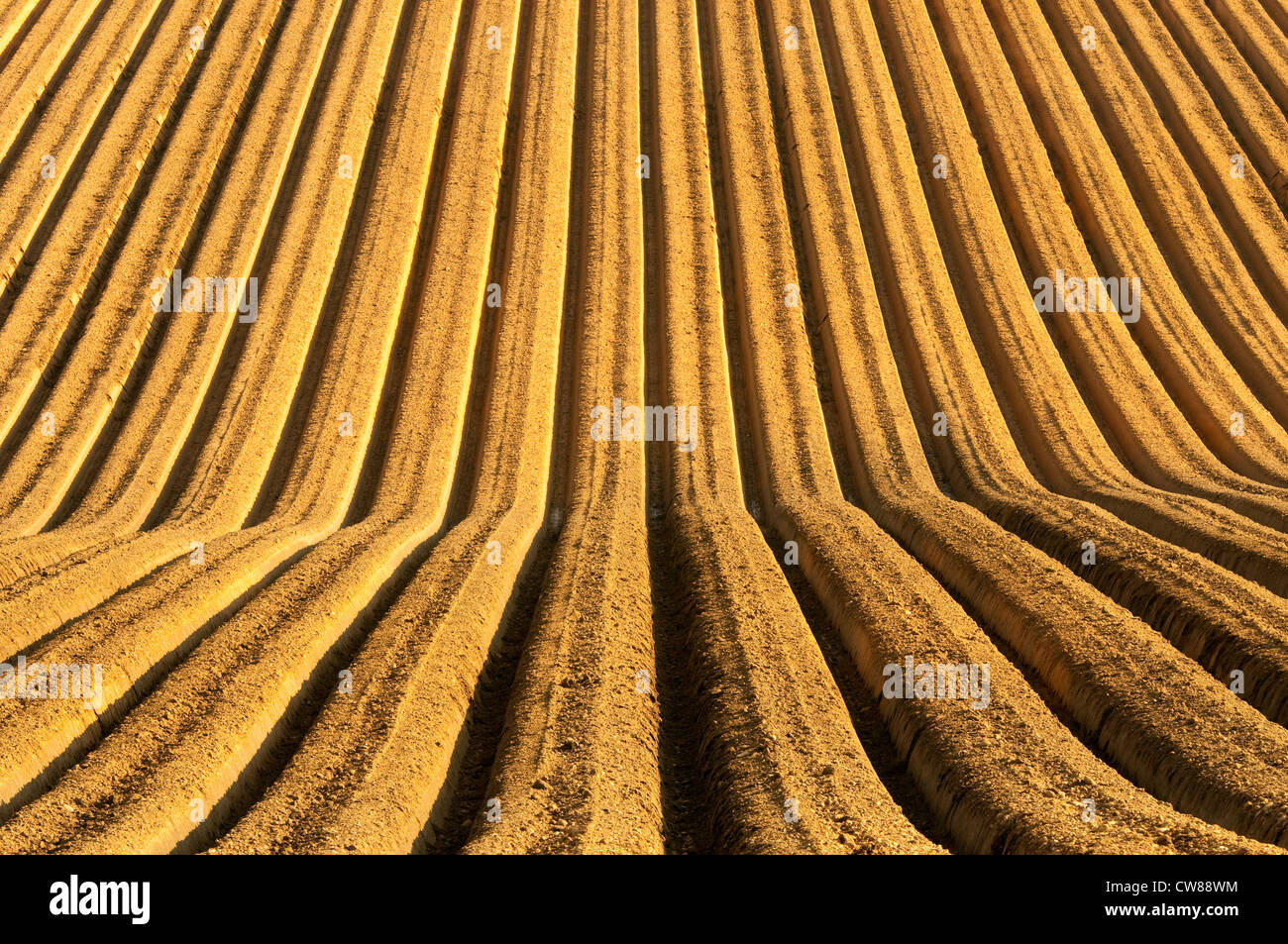 Ploughed Field Deep Furrows Stock Photos & Ploughed Field Deep Furrows ...