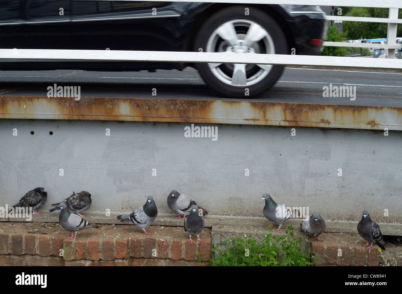 luhv ouygh oiuh Stock Photo - Alamy