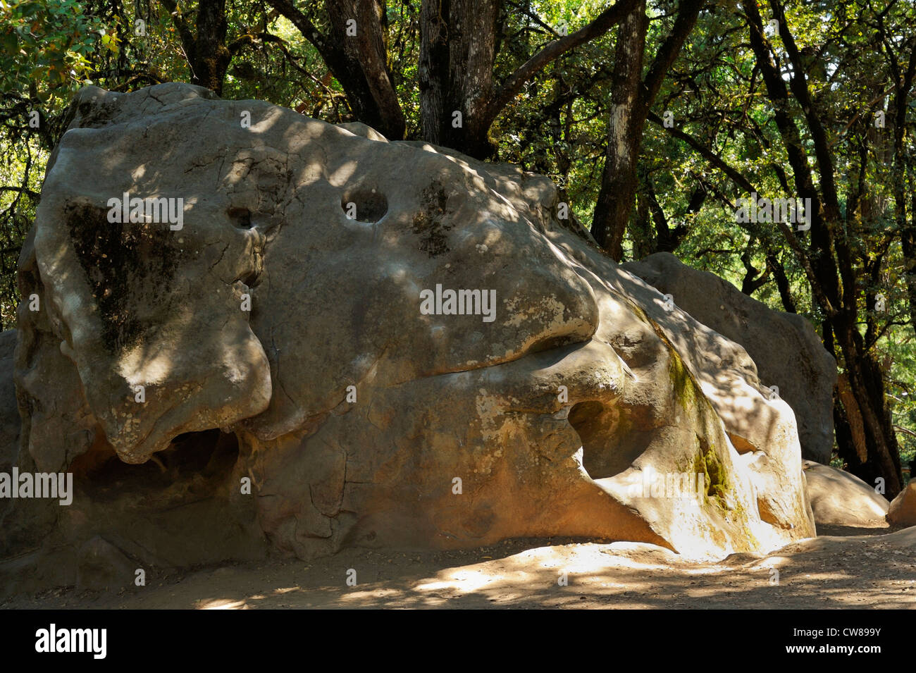 Castle Rock state park, Santa Cruz Mountains CA Stock Photo - Alamy