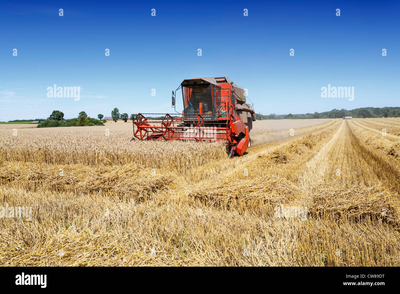 Farmers harvesting their crop while the sun shines in the beautiful ...