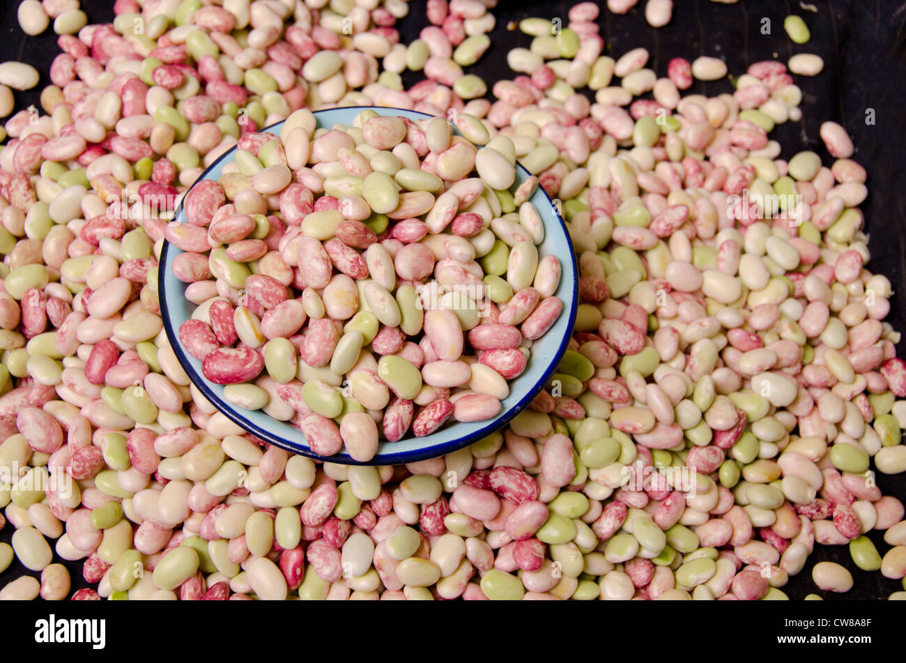 Grown in ecuador hi-res stock photography and images - Alamy