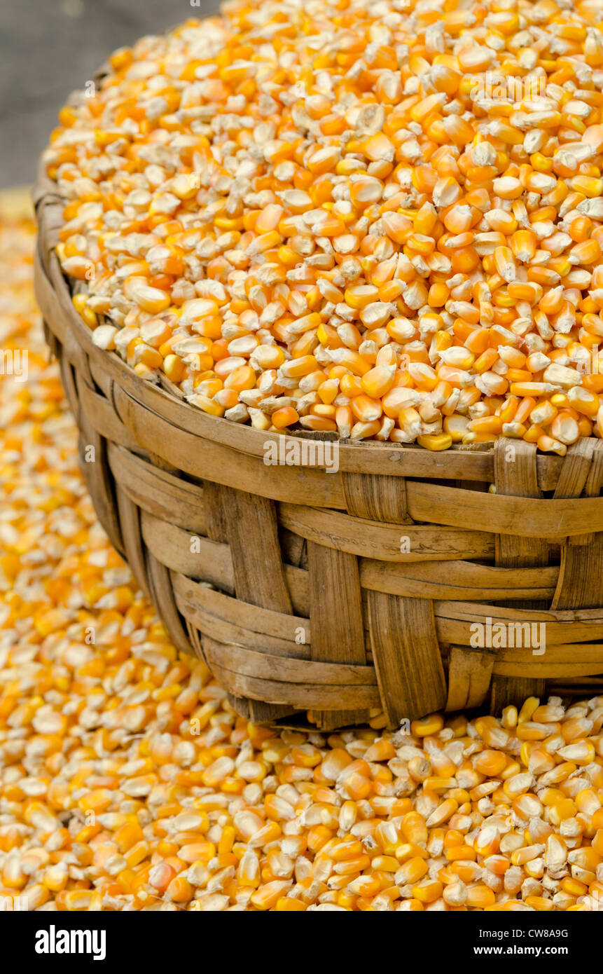 Ecuador, Quito area in nearby highlands. Otavalo Market. Typical local ...