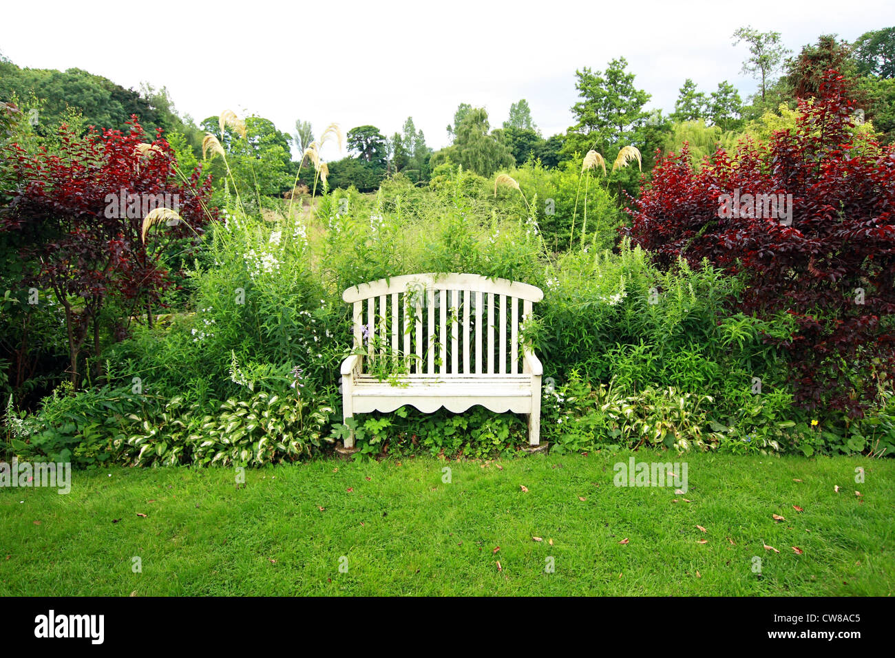 Beautiful vintage wooden bench in the old garden Stock Photo - Alamy
