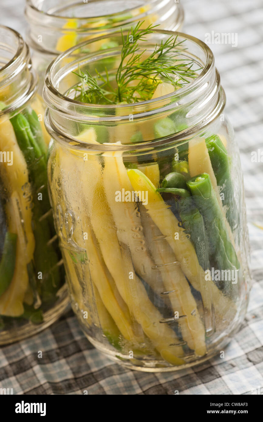 String beans packed in glass jars for home canning Stock Photo - Alamy