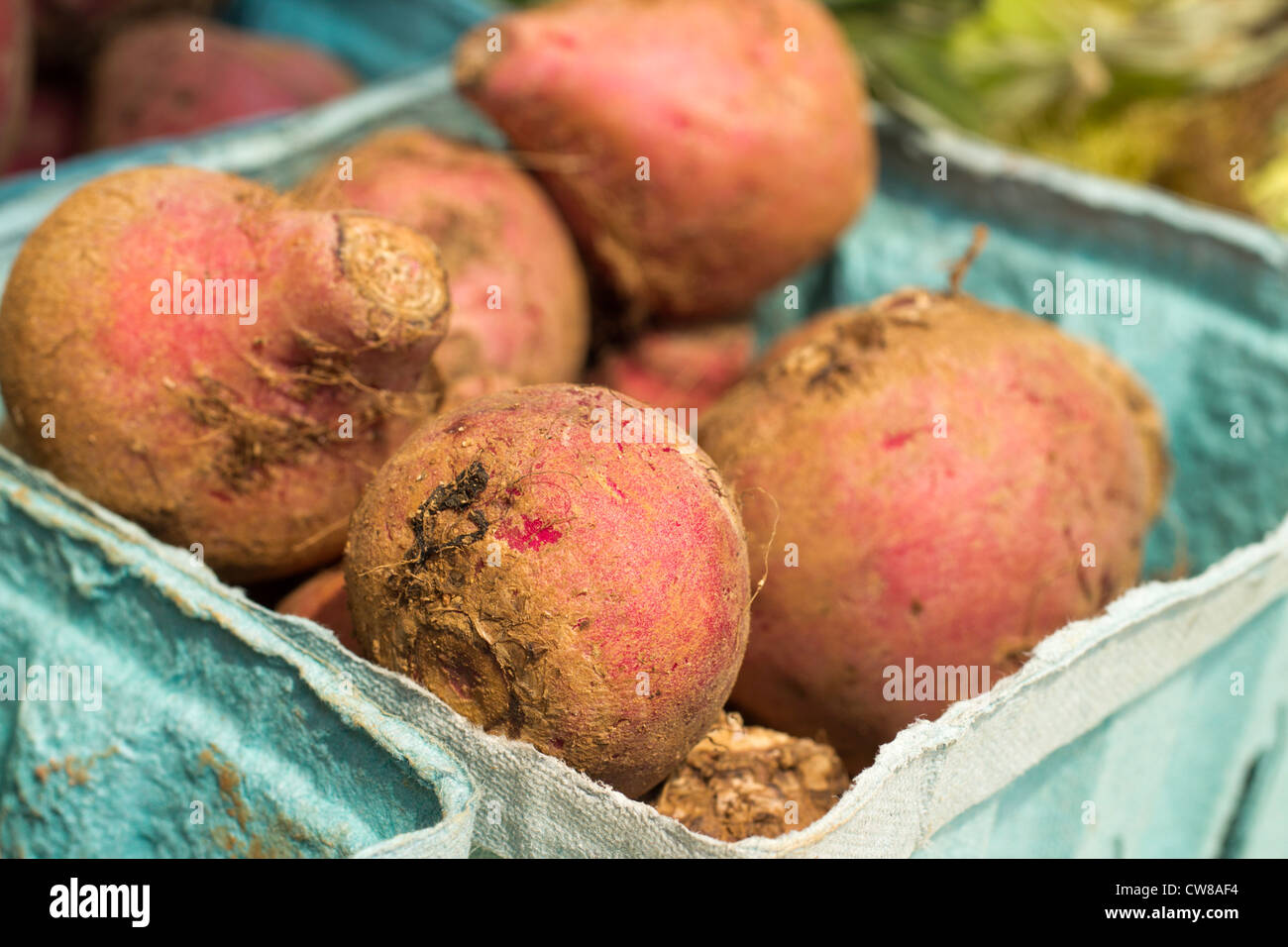 basket of beets/punnet of beetroot Stock Photo - Alamy