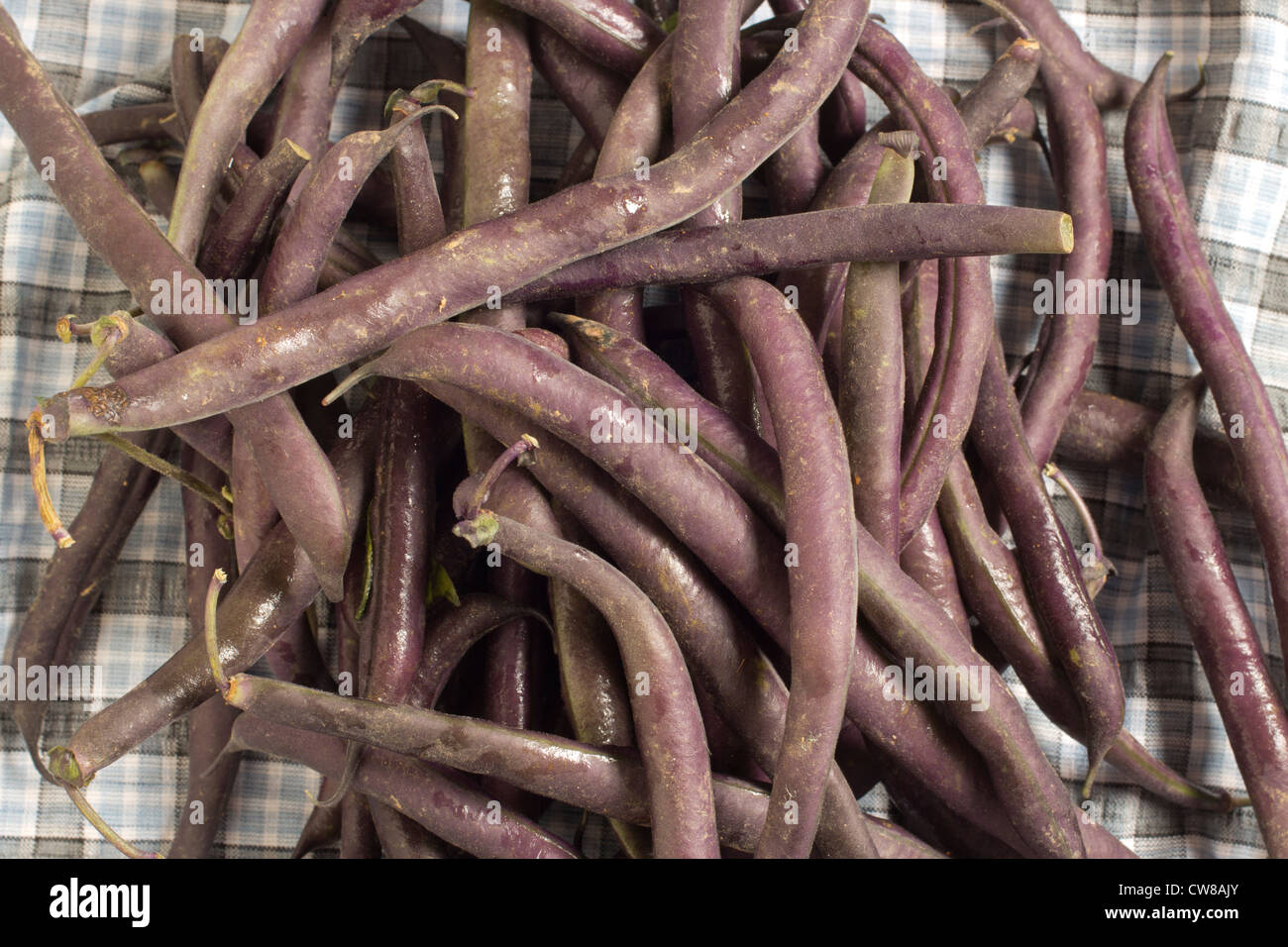 String beans hi-res stock photography and images - Alamy