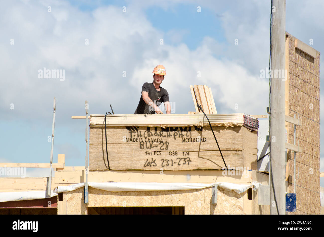Construction worker building a house Stock Photo - Alamy