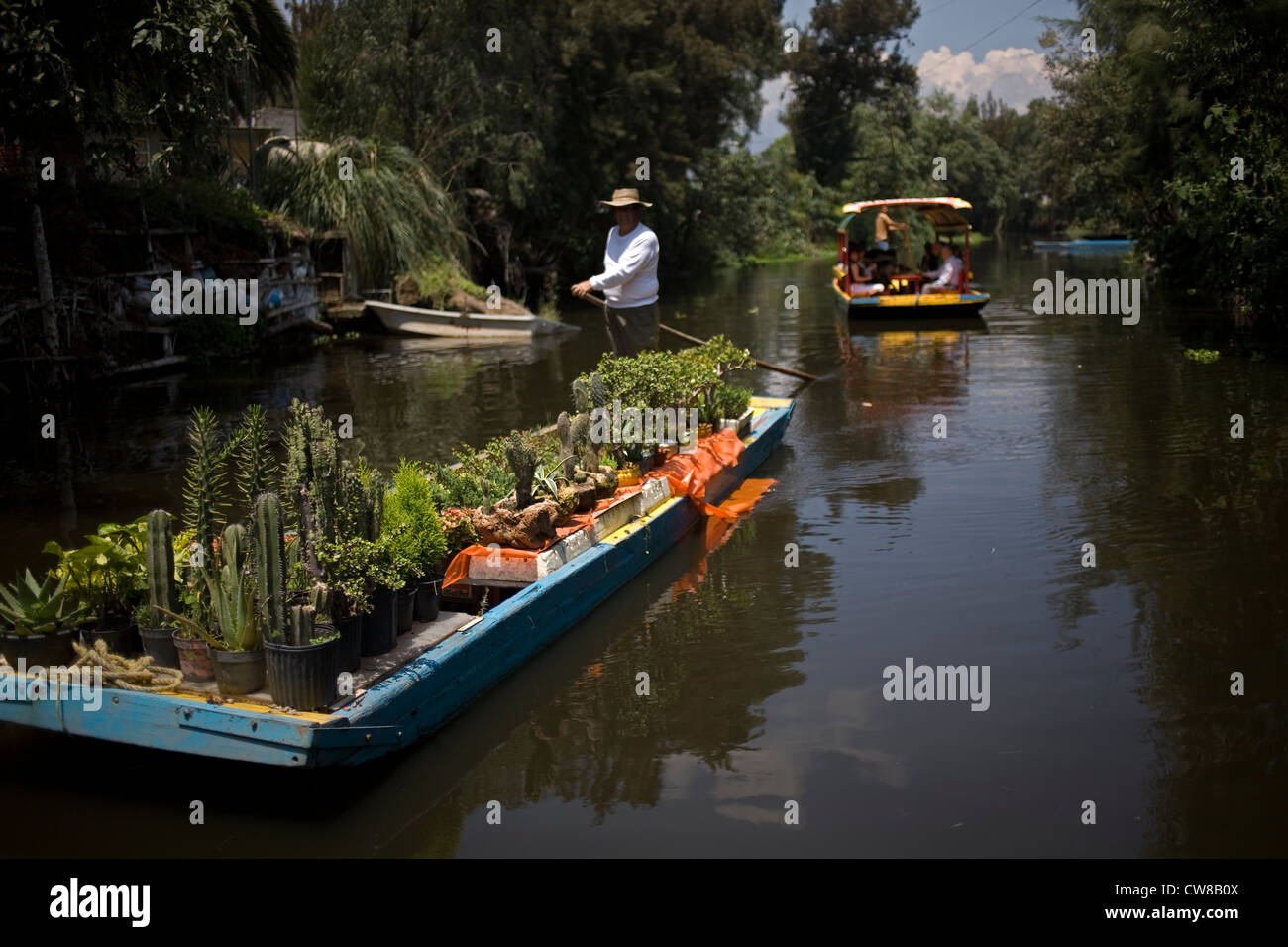 Chinampas Xochimilco
