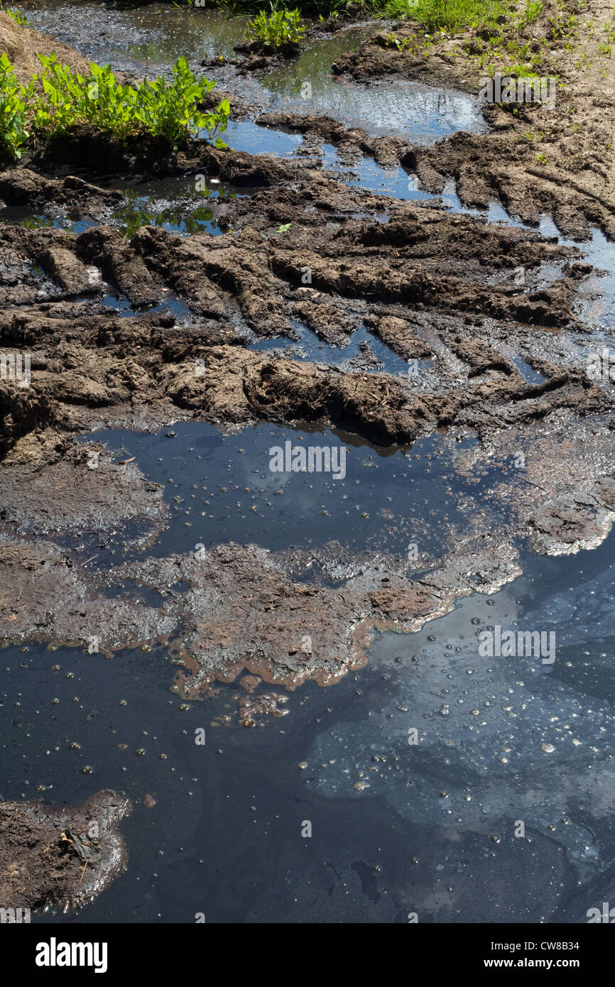 Drainage ditch pollution hi-res stock photography and images - Alamy