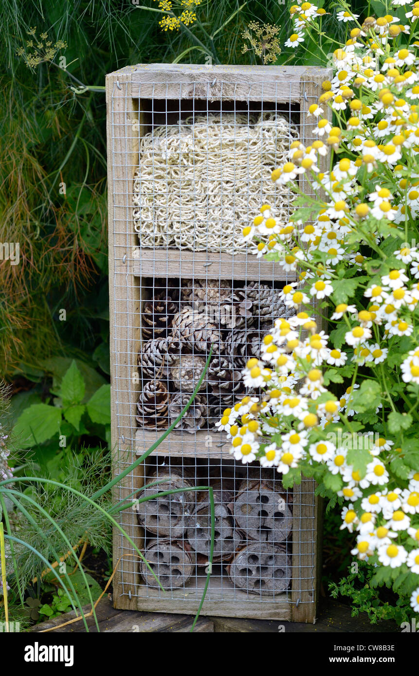Garden Bug box Stock Photo - Alamy