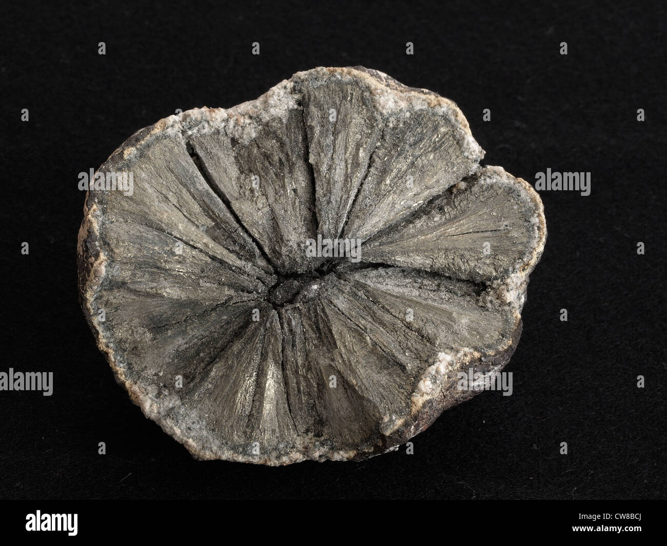 White iron hi-res stock photography and images - Alamy