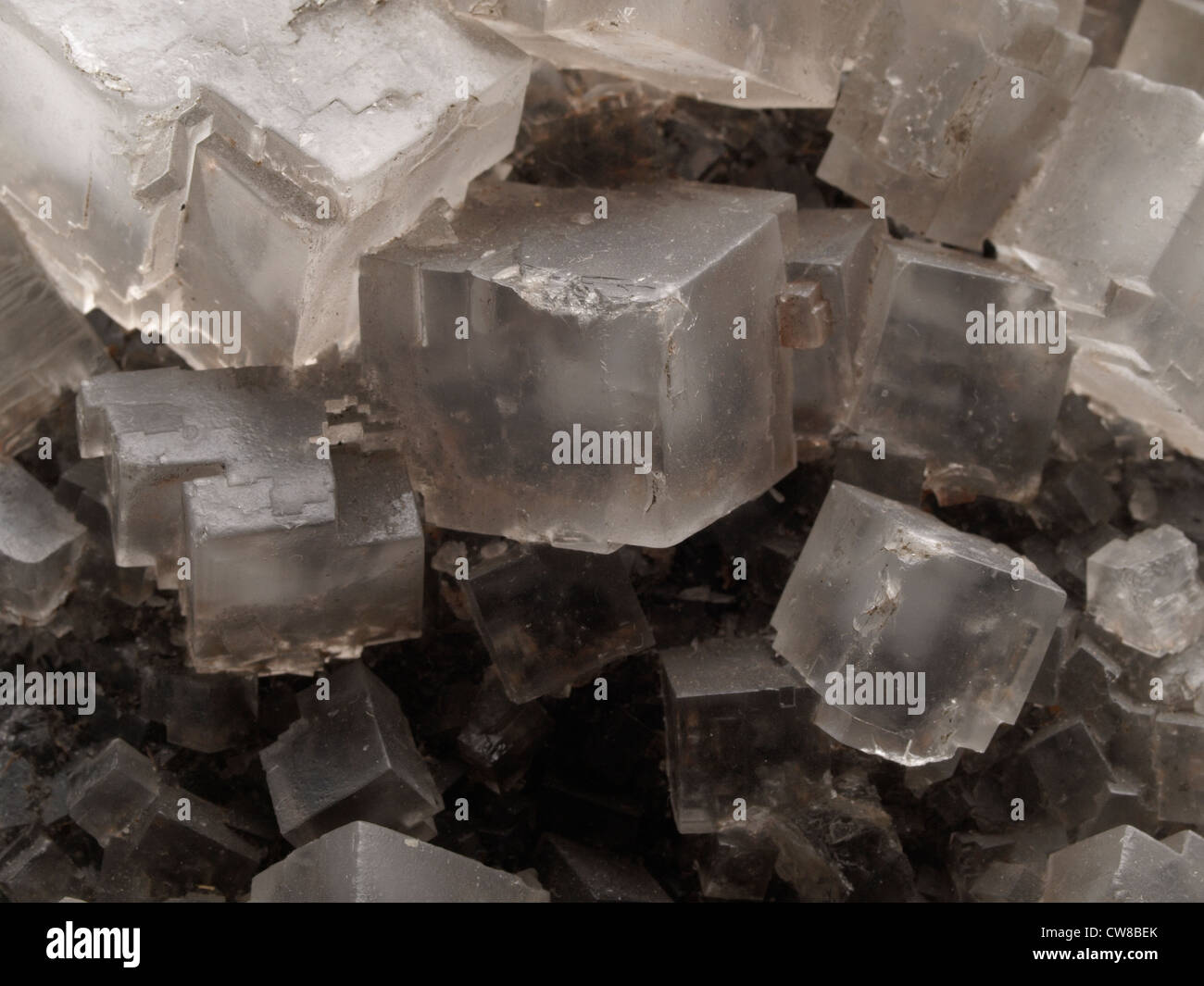 Halite; Wieliczka, Poland. Central crystal has about 15 millimeters ...