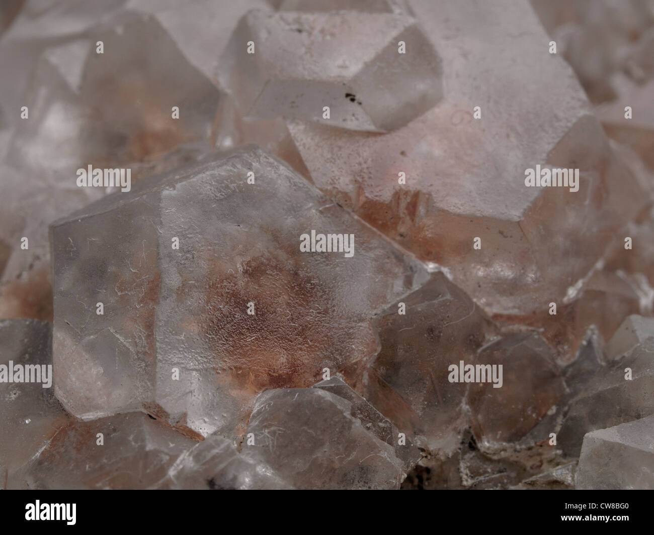 Sylvite; Kalisz, Poland. Frontal border of the large crystal on the ...