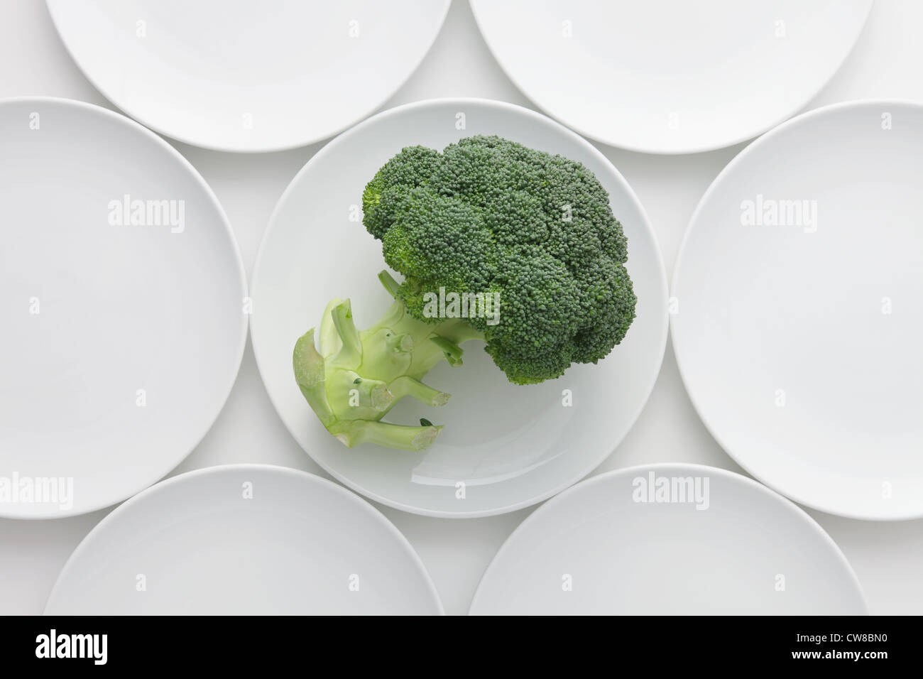 Plates Arranged Around Broccoli Plate Stock Photo - Alamy