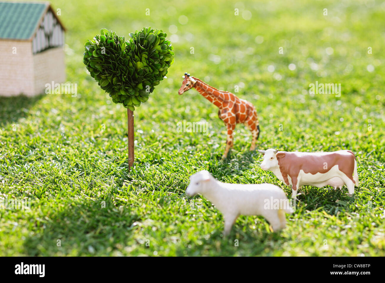 Cow, Giraffe, Sheep And Heart Shape Tree With Hut On Grassy Field Stock ...