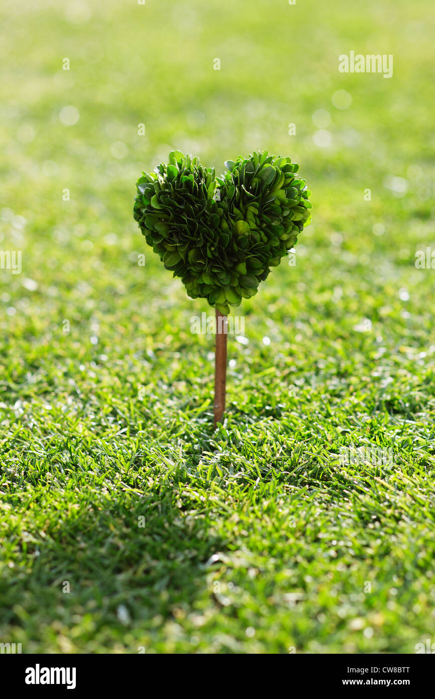 Heart Shape Tree In Grassland Stock Photo - Alamy