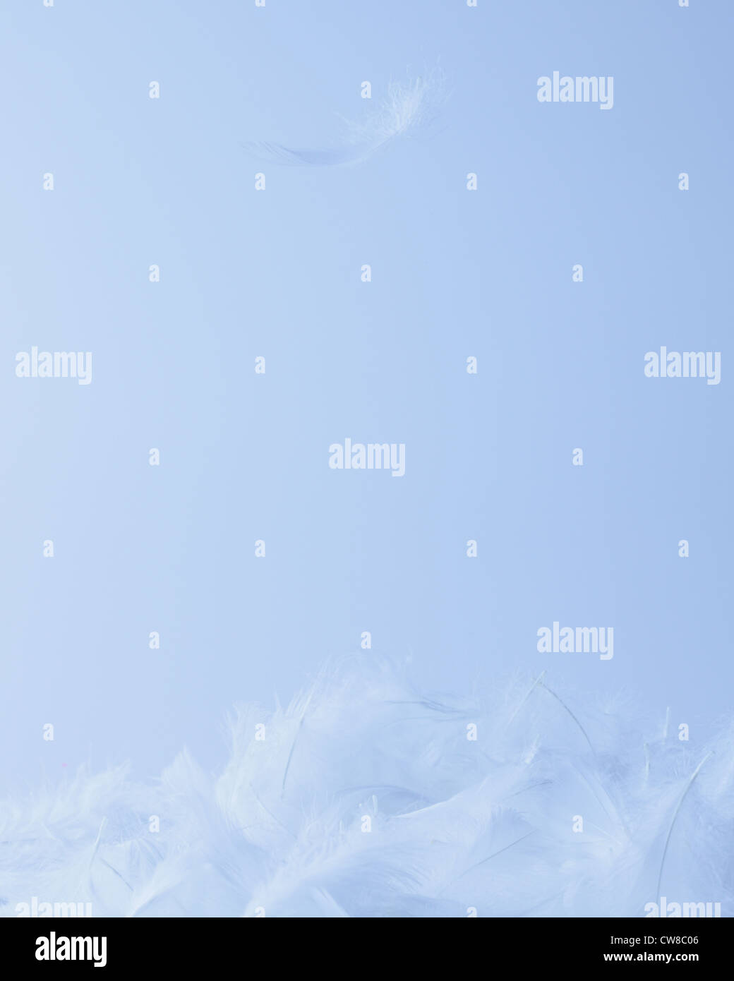 Feather hi-res stock photography and images - Alamy