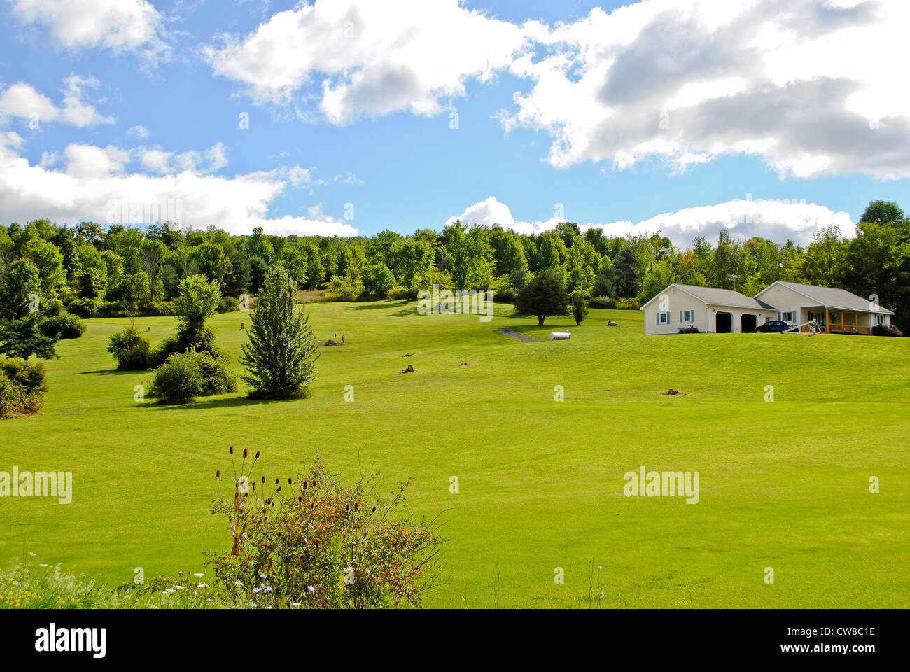 House in American suburbia Stock Photo - Alamy