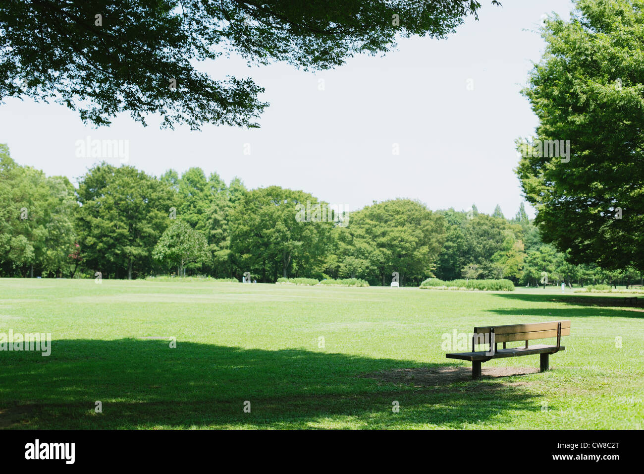 Empty park bench hi-res stock photography and images - Alamy