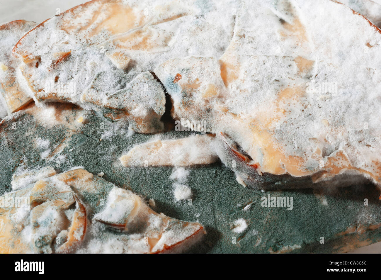 Rotten cheese hi-res stock photography and images - Alamy